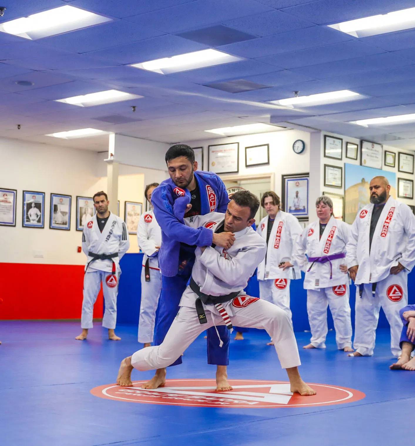 Brazilian Jiu-Jitsu Naperville IL | 4x World Champion BJJ